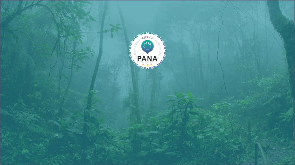 PANA – Guide des outils numériques - PANA